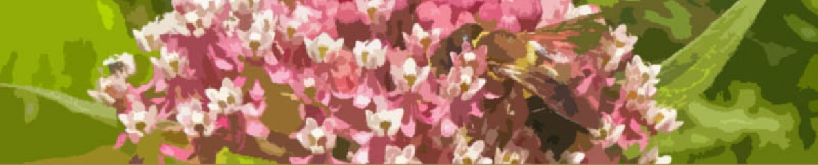 cropped-bee-header.jpg – Penn Dixie Fossil Park & Nature Reserve