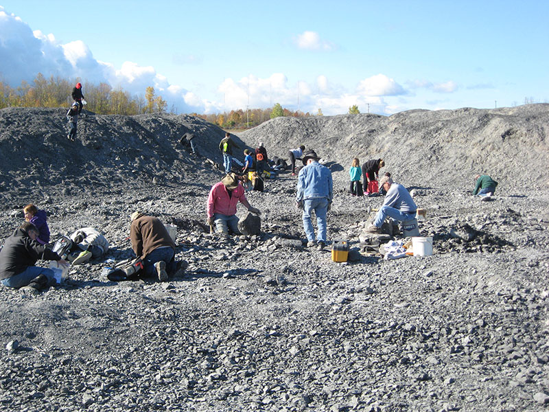 Dig with the Experts updates – Penn Dixie Fossil Park & Nature Reserve