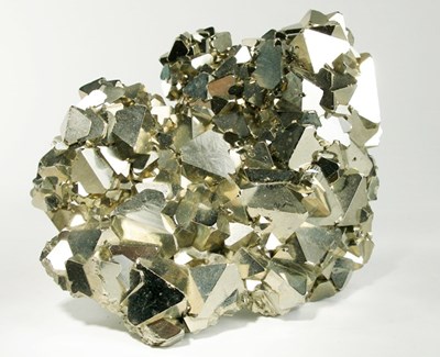 Pyritized Fossils at Penn Dixie – Penn Dixie Fossil Park & Nature Reserve