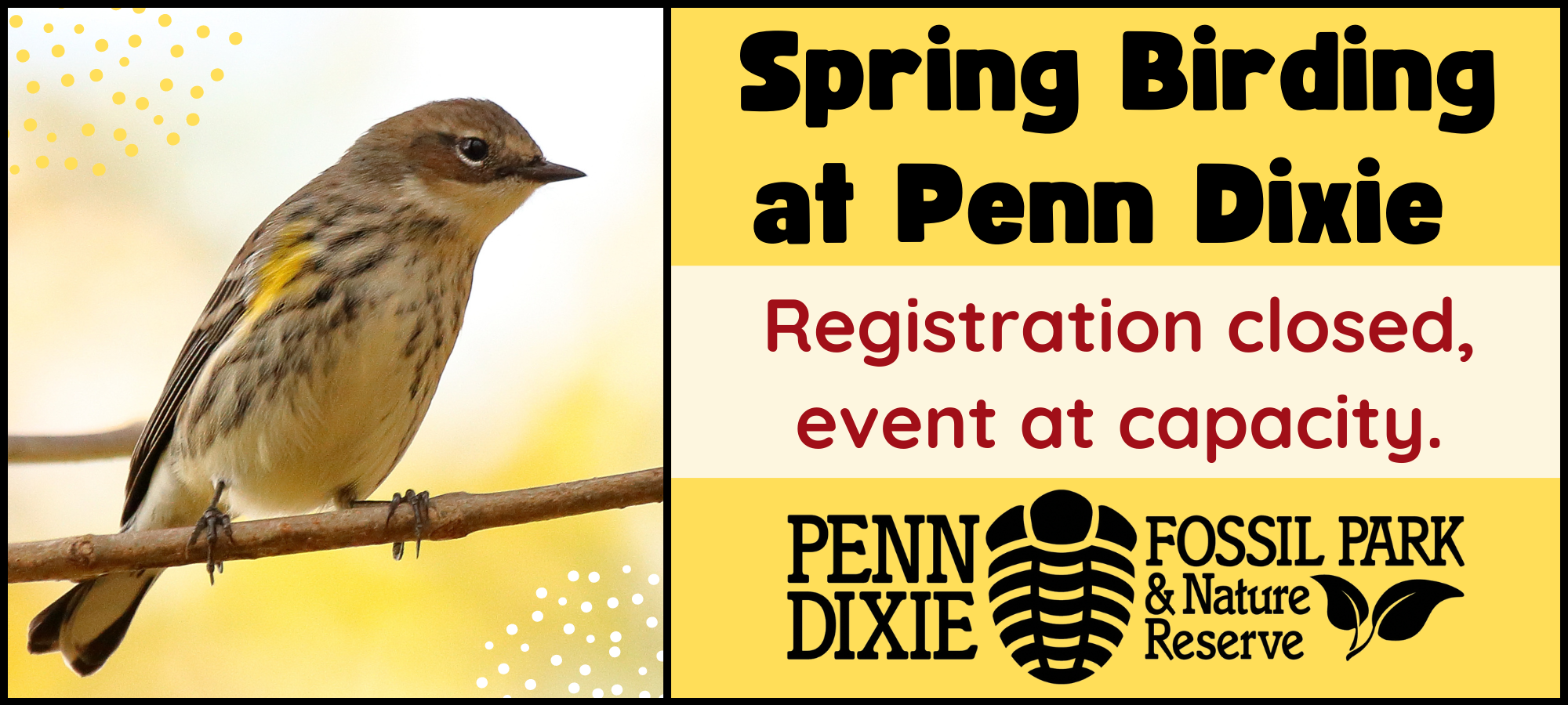 Bird Walk 2000 x 900 (2) – Penn Dixie Fossil Park & Nature Reserve